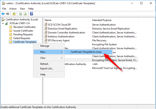 How to install an SCCM Cloud Distribution Point